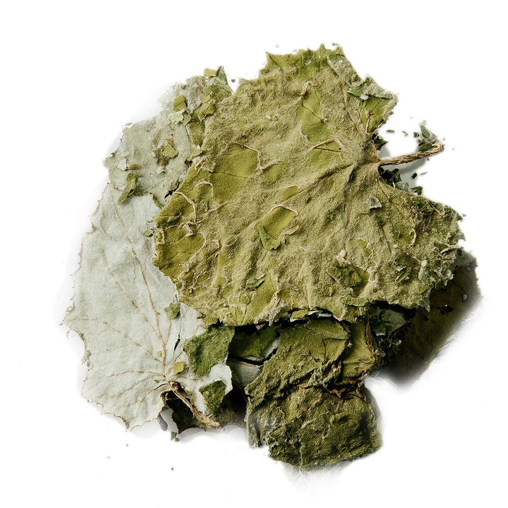 Мать-и-мачеха для лечения заболеваний дыхательной системы от бренда "Отварчик пей", вес 35 грамм