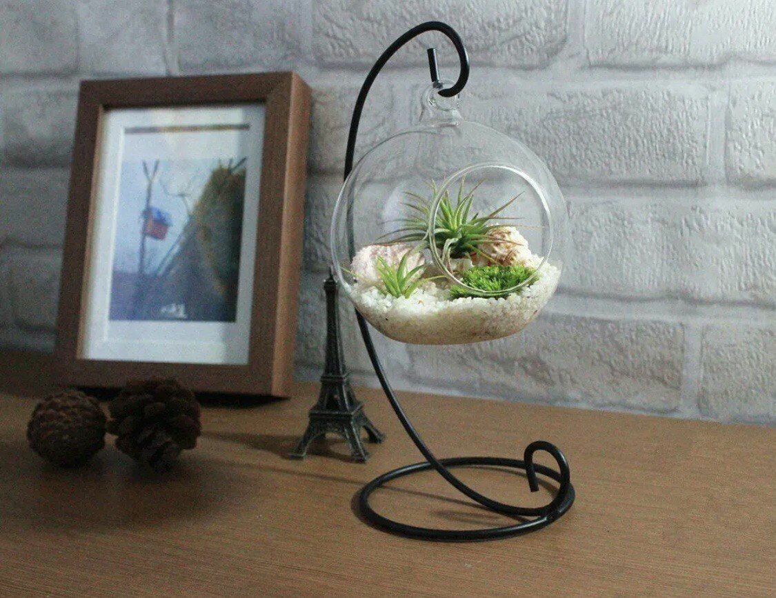 Флорариум на подвесе / Подарок маме / Комнатное растение