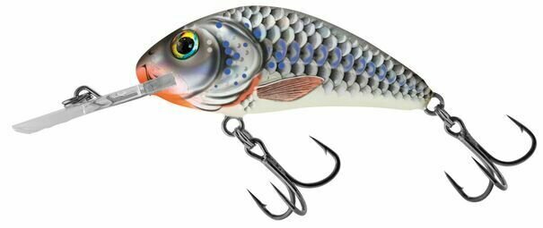 Воблер SALMO POLAND HORNET RATTLIN F 05.5/SHS, ратлины для зимней и летней рыбалки