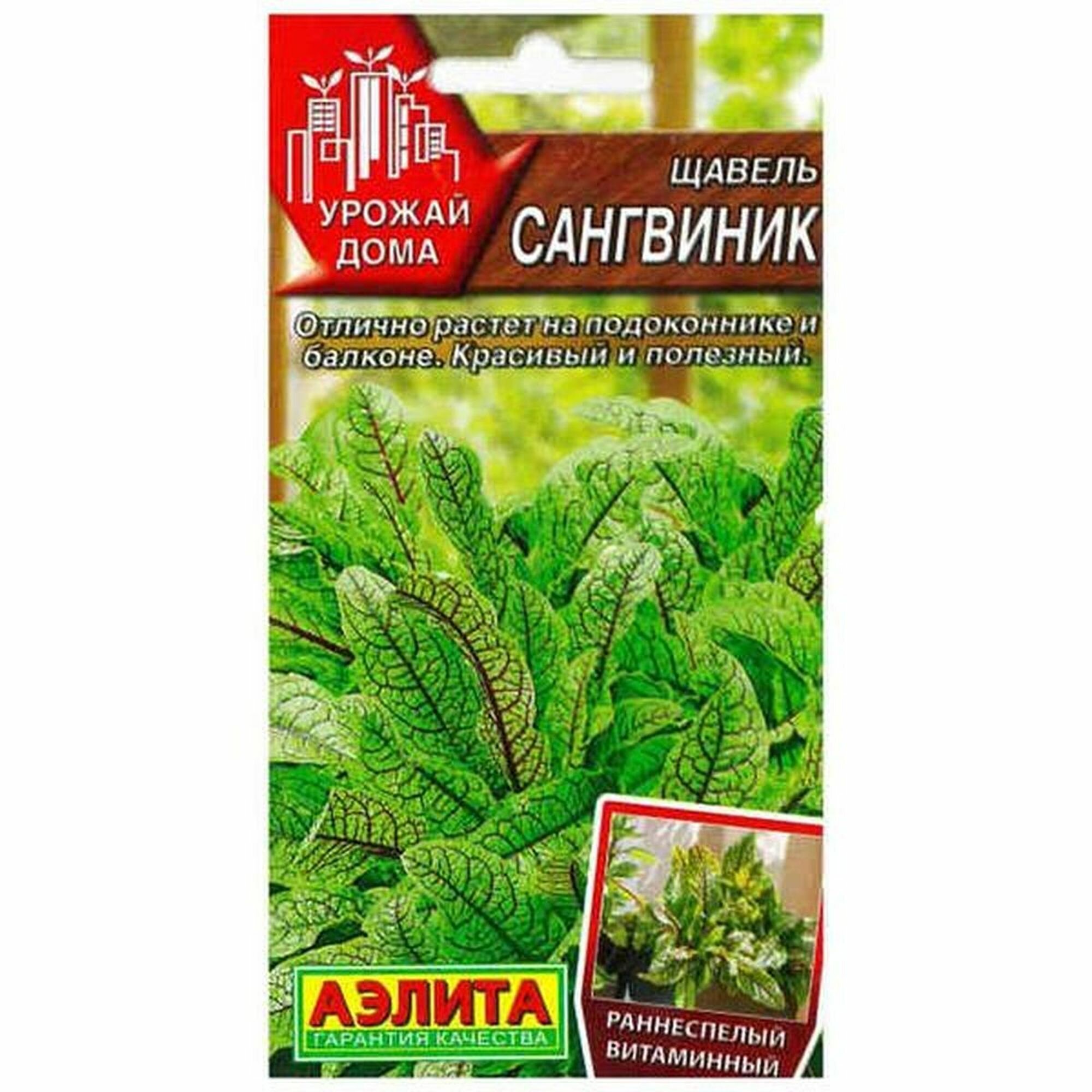 Семена Щавель Сангвиник, раннеспелый, Аэлита, 1 пачка - 0.05г семян