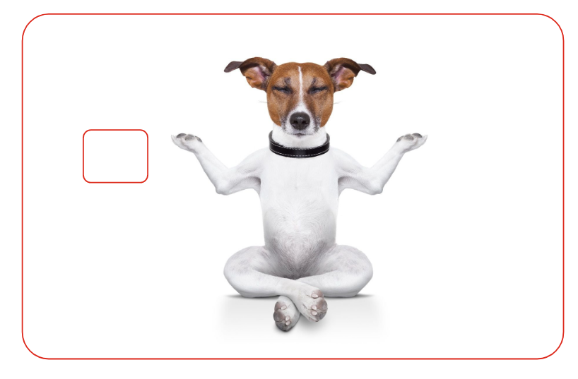 Наклейка на банковскую карту, стикер на карту, собака