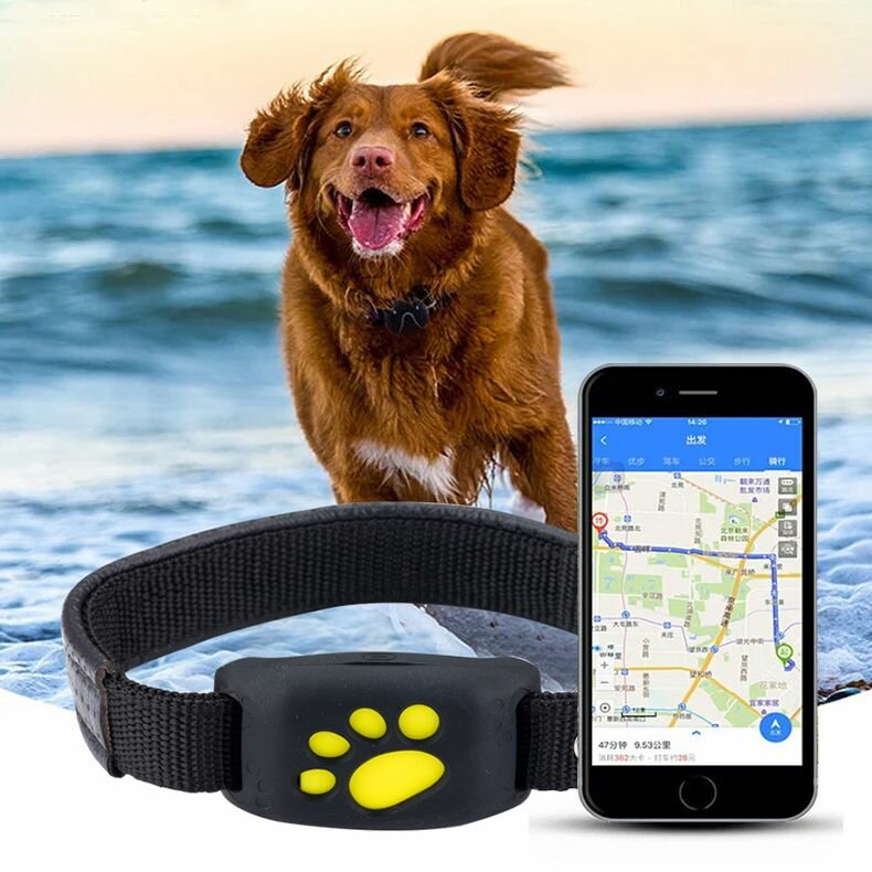 Ошейники для домашних животных, GPS локаторы для домашних животных, трекеры для собак и кошек