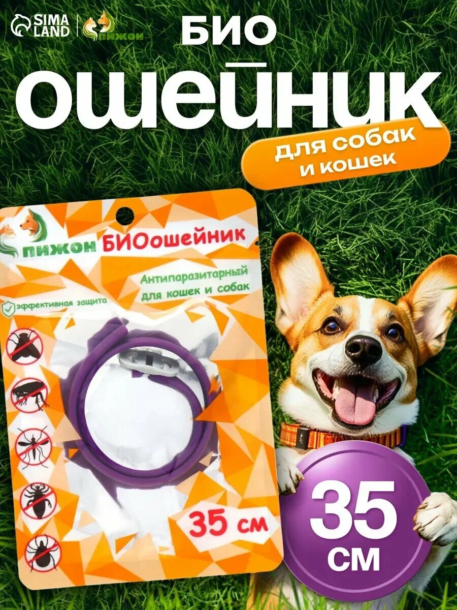 Пижон Биоошейник от блох для кошек и маленьких собак, 18 г фиолетовый, 1 шт