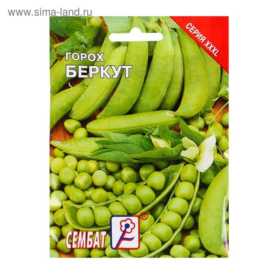 Семена гороха "Беркут" сембат, среднеспелый, открытый грунт, 25г