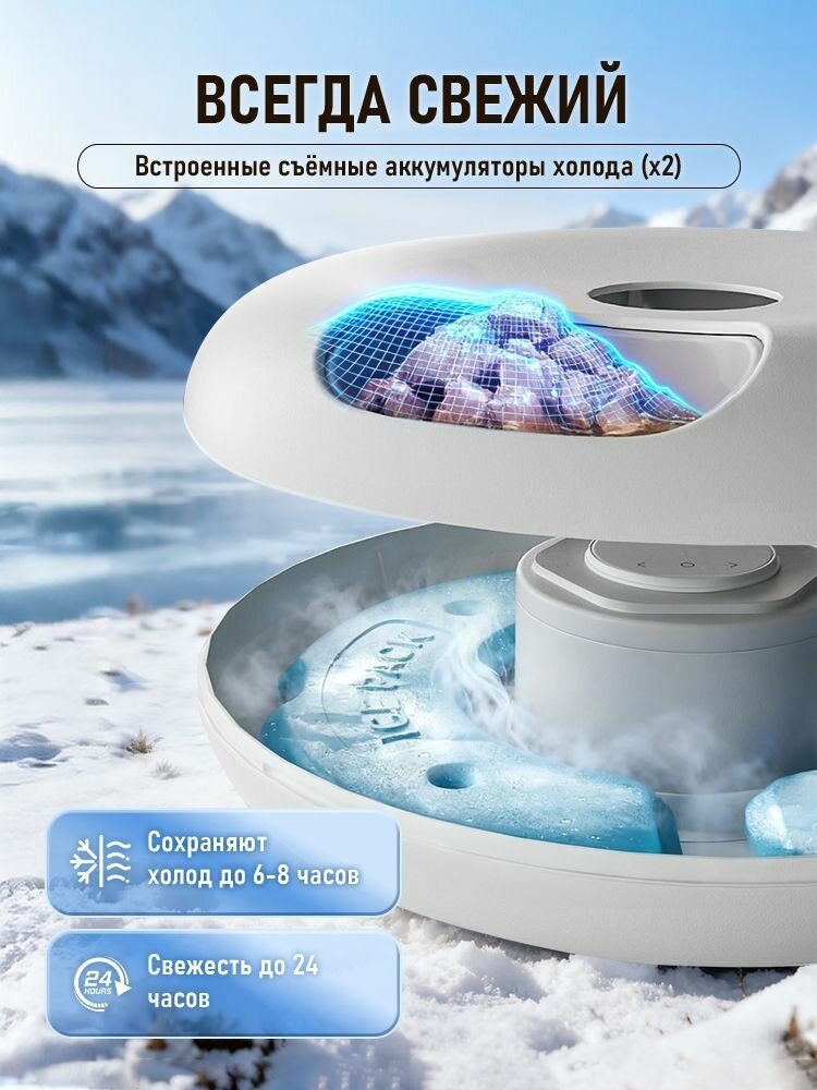 Автокормушка — фото 1