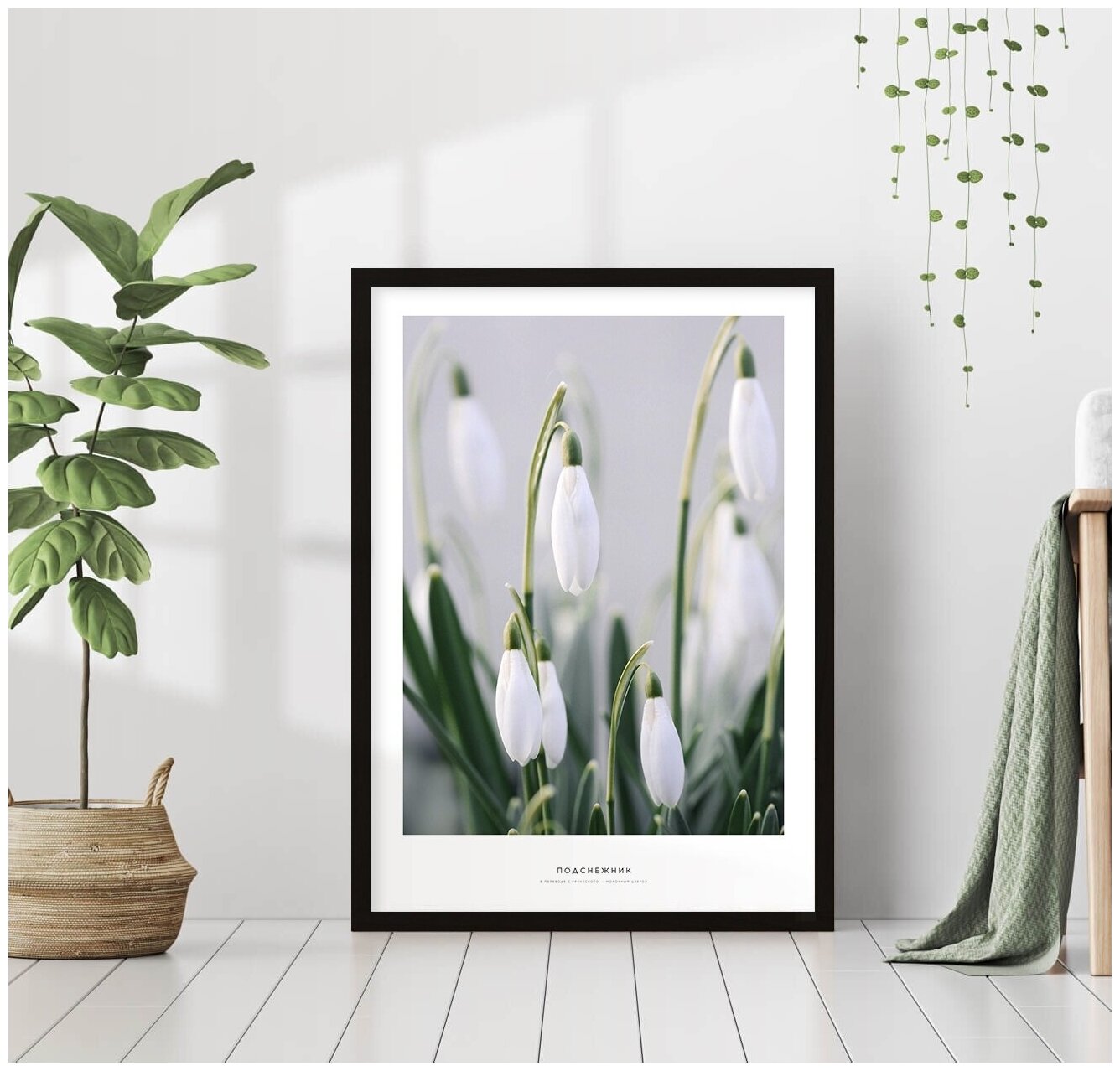 Постер "Подснежники" 50x70 в черной рамке на стену для интерьера