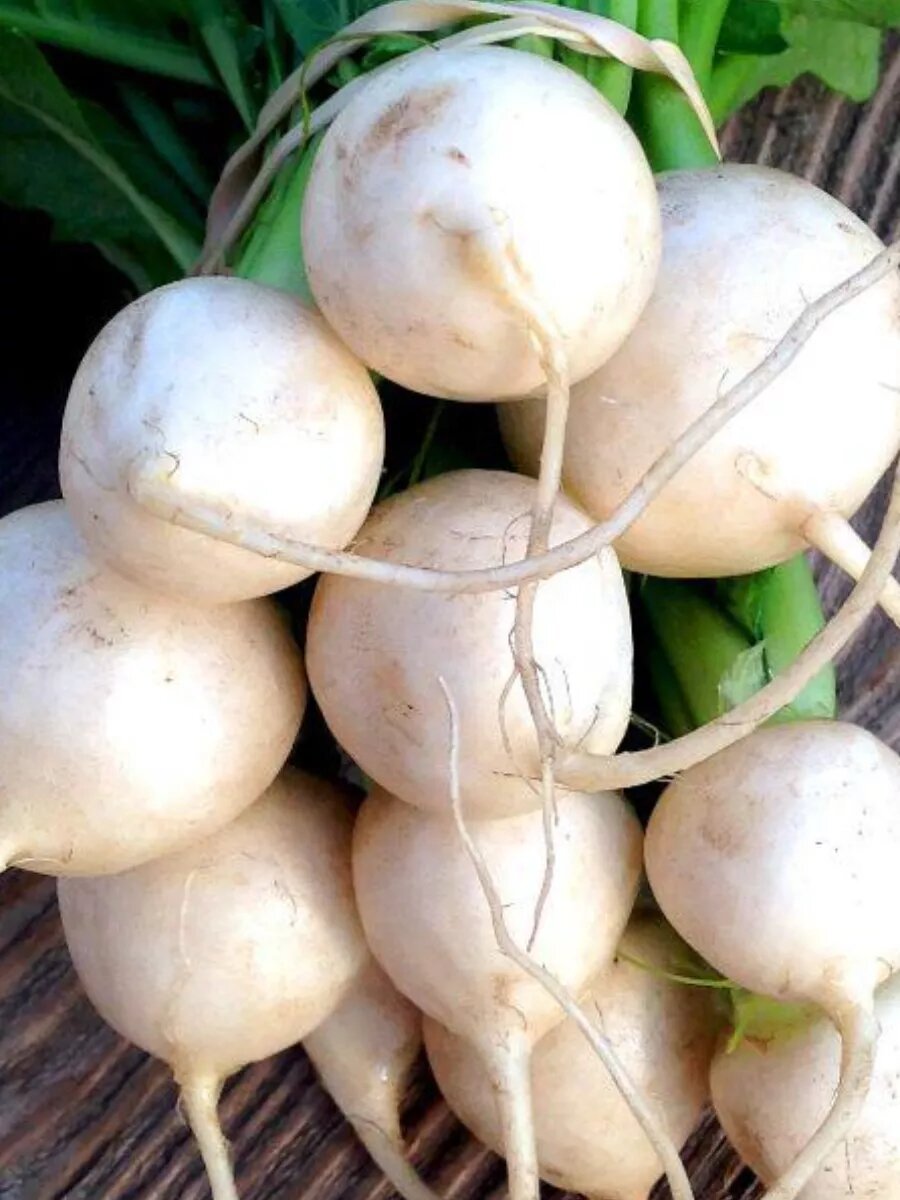 Семена репы Гейша - 1 г. Высокое содержание калия и других минеральных солей