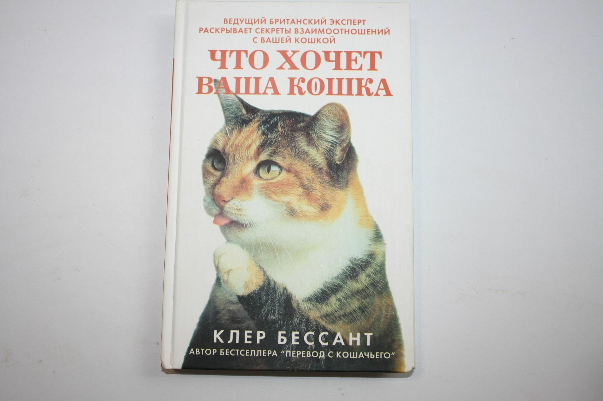 Что хочет ваша кошка