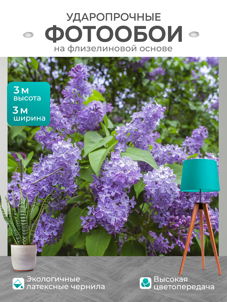 Фотообои моющиеся ударопрочные "Сирень, цветы, ветви" 300x300 см. флизелиновые на стену