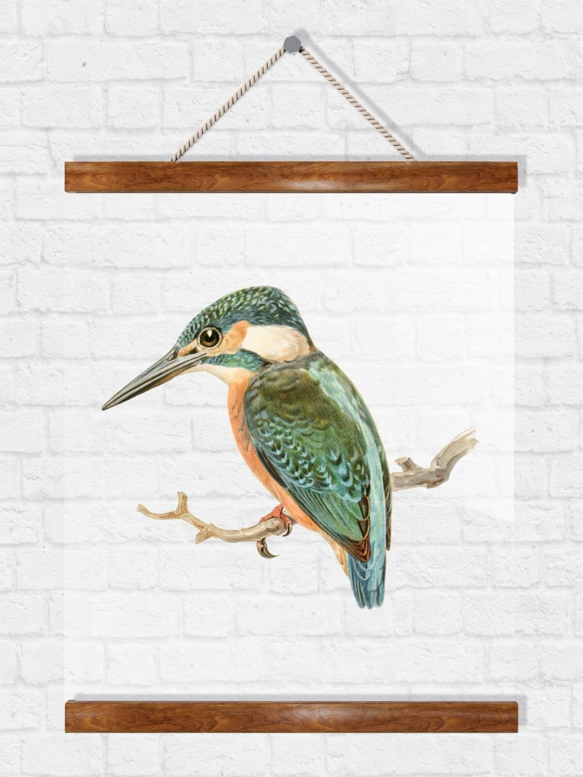 Постер / Плакат / Картина Прозрачный постер - Изумрудная птица с длинным клювом 50x70