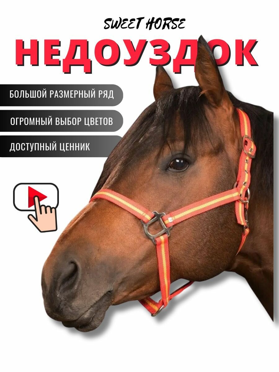 Sweethorse / Недоуздок для лошади и пони, желто-красный, PONY