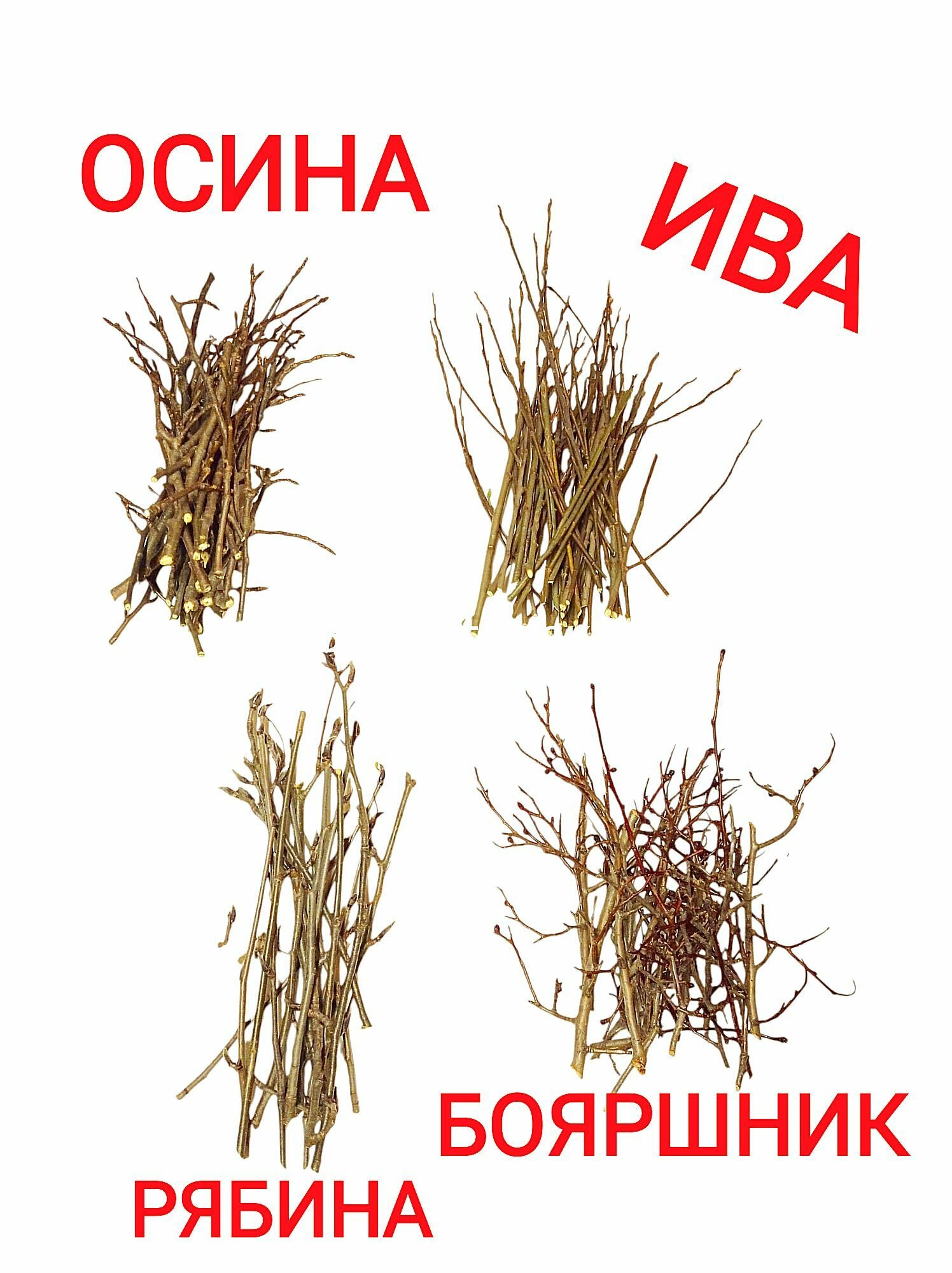 Веток набор. Осина, боярышник, ива, рябина.