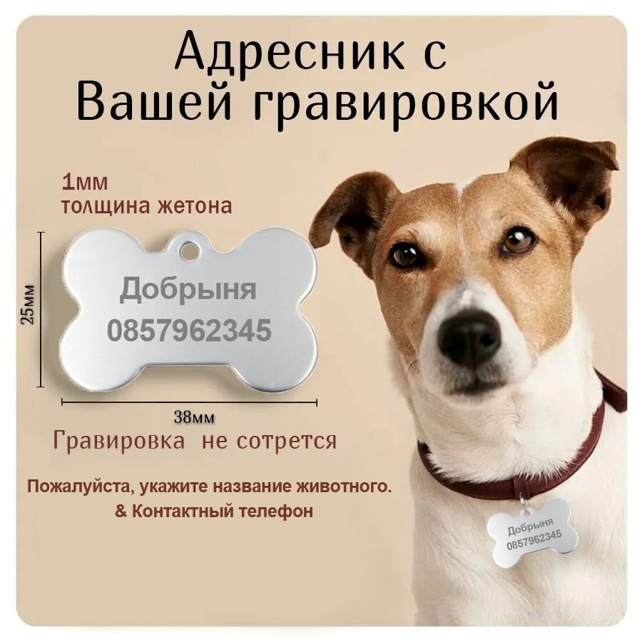 Адресник медальон для животных с адресом медальон для животных адресный жетон