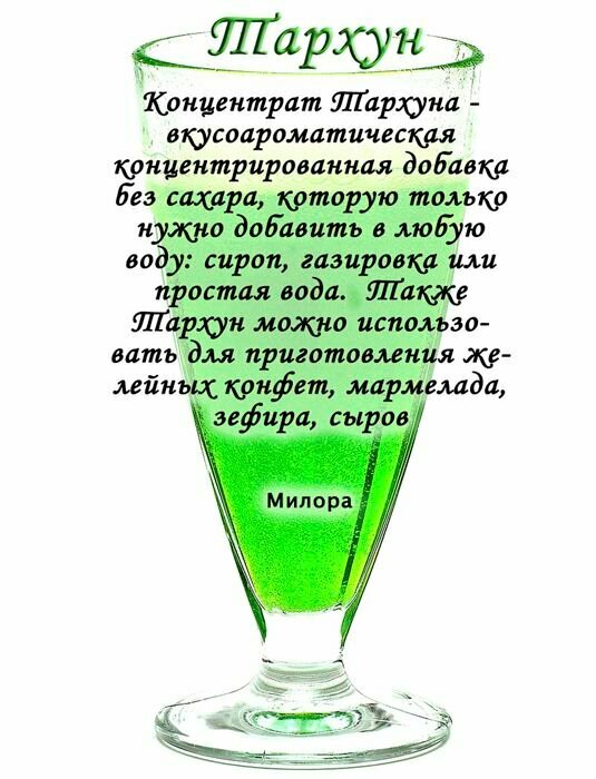 Вкусоароматический концентрат "Тархун" Symrise, 100мл, без сахара