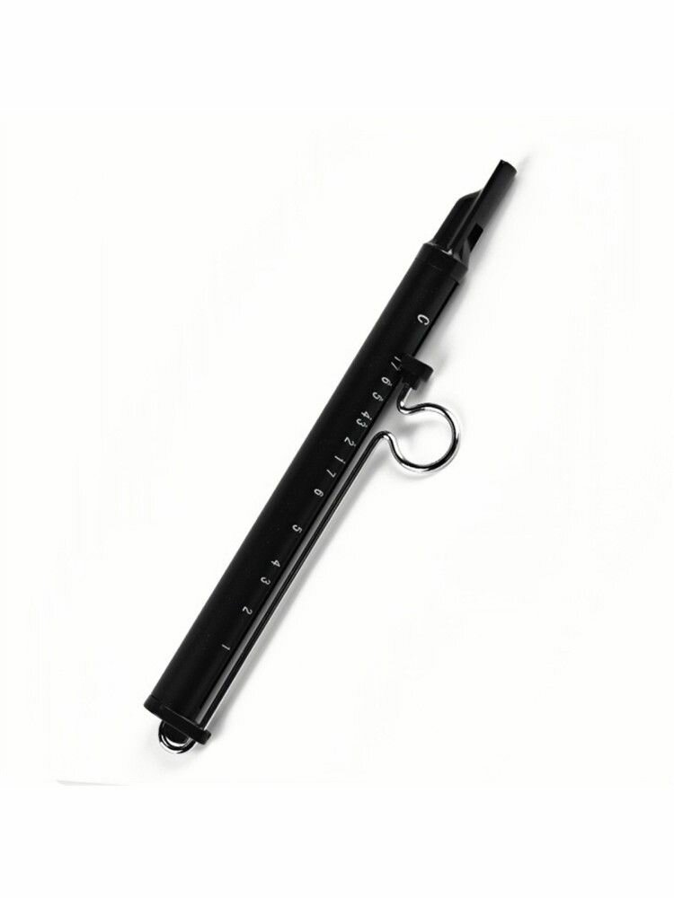 Свисток-слайд, Двойная шкала настройки, скользящая флейта, кларнет