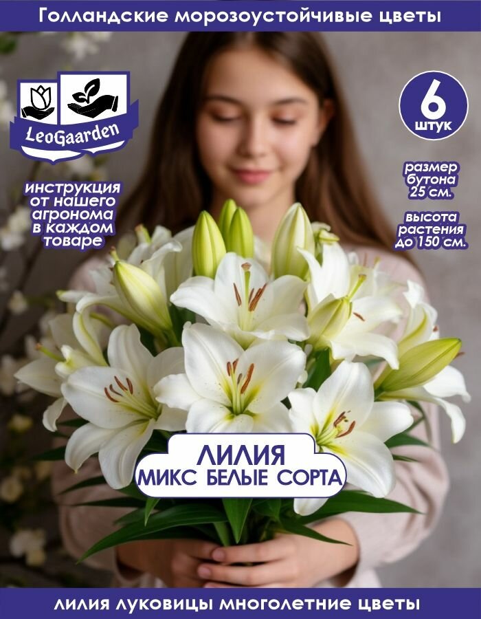 Лилия Луковица, Микс белых сортов 6шт