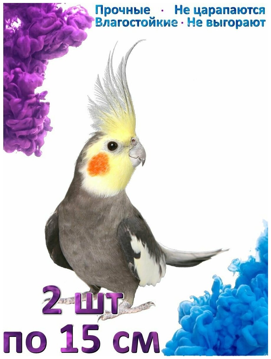 Наклейка на авто "Cockatiel bird волнистый"