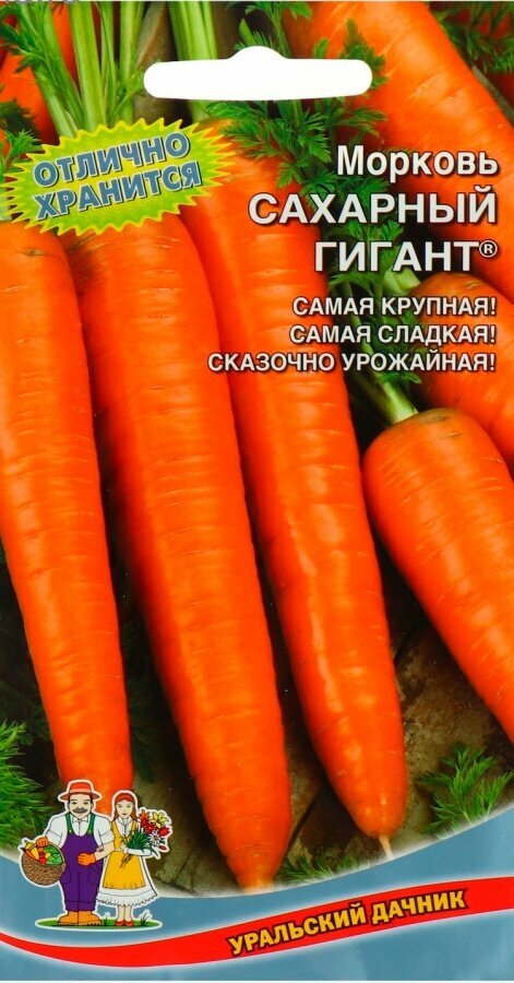 Семена моркови "Сахарный гигант" 10 упаковок по 2 гр - корнеплоды имеют красно-оранжевый цвет и удлиненно-конусовидную форму. Их длина составляет 25-27 см.
