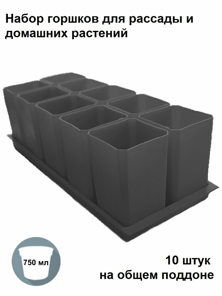 Набор горшков для рассады и для домашних растений, 10 штук на поддоне, антрацит