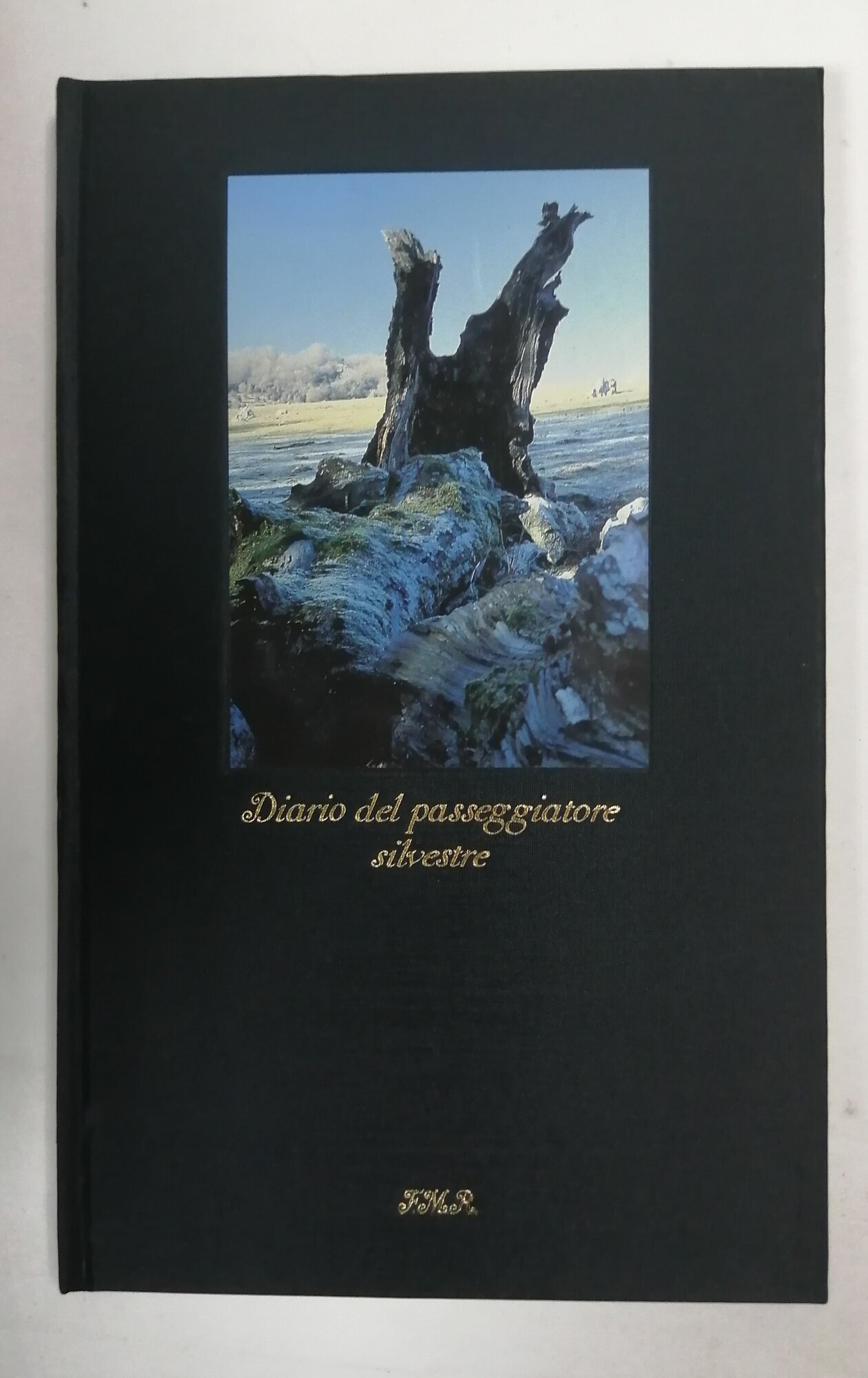 Diario del passeggiatore Silvestre. Дневник коляски Сильвестра (на итальянском языке)