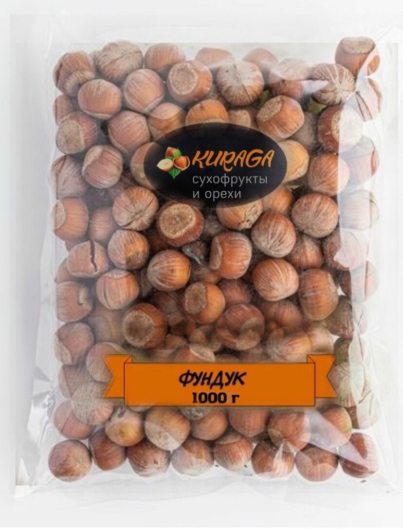 Фундук в скорлупе 1000 гр/ лесной орех/ фундук не чищеный сырой/ урожай 2022