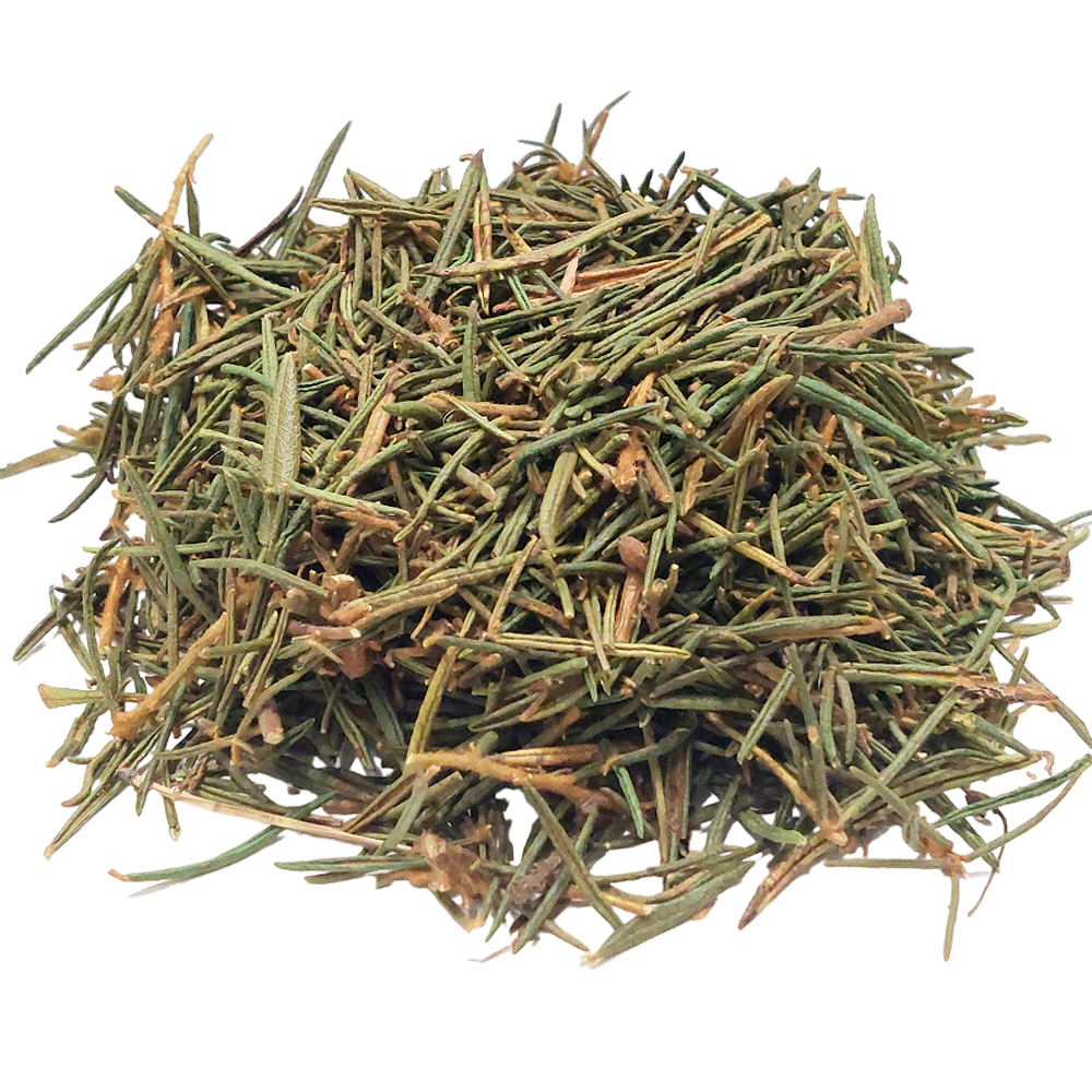 Багульник болотный трава