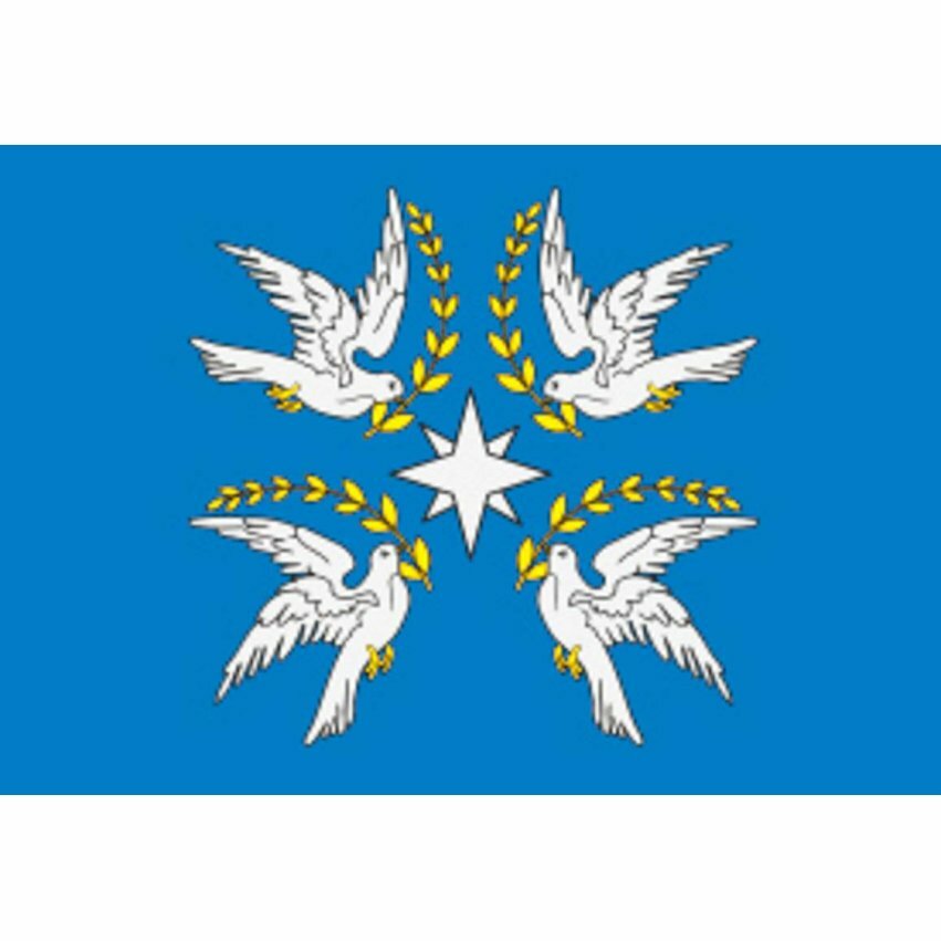 Флаг Дружненского сельского поселения (Краснодарский край) 135x90 см.