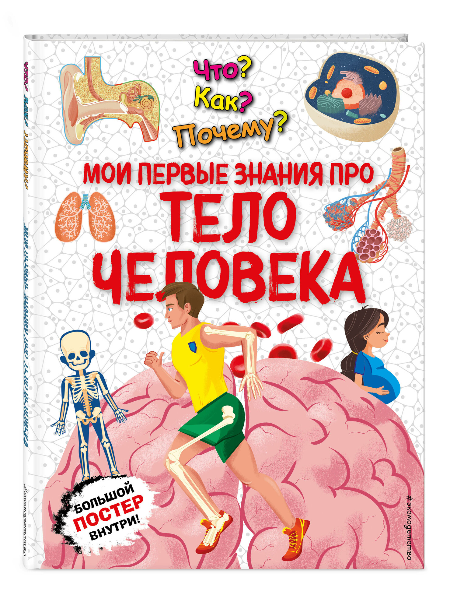 Что Как Почему Мои первые знания про тело человека Энциклопедия 12+