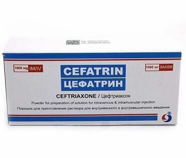 Цефатрин, порошок, флакон 1 г, 5 шт.