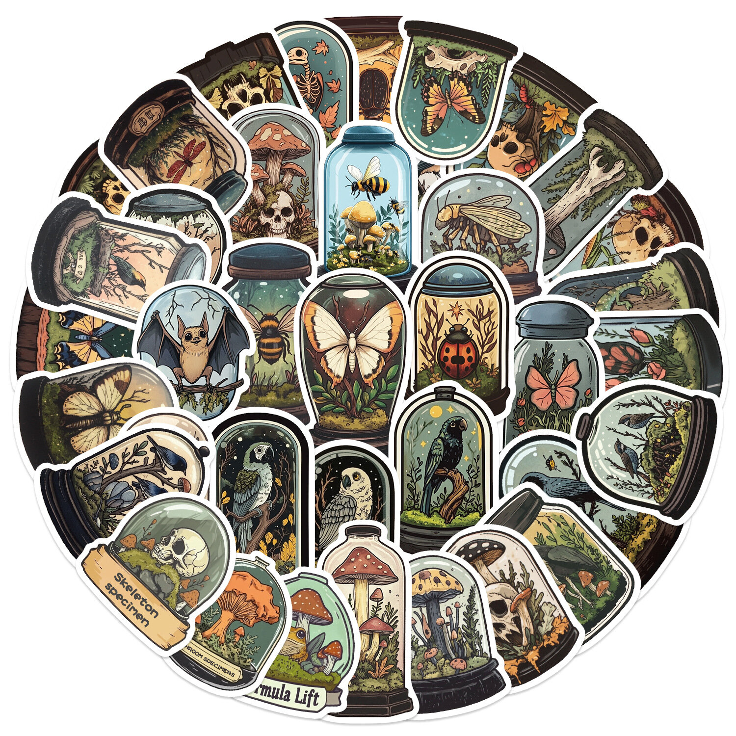 Набор из 50 наклеек с таинственными существами в виде банок, готические винтажные виниловые наклейки с насекомыми, черепами, грибами и животными, водонепроницаемые наклейки для ноутбука, скрапбука, гитары, чемодана, журнала своими руками