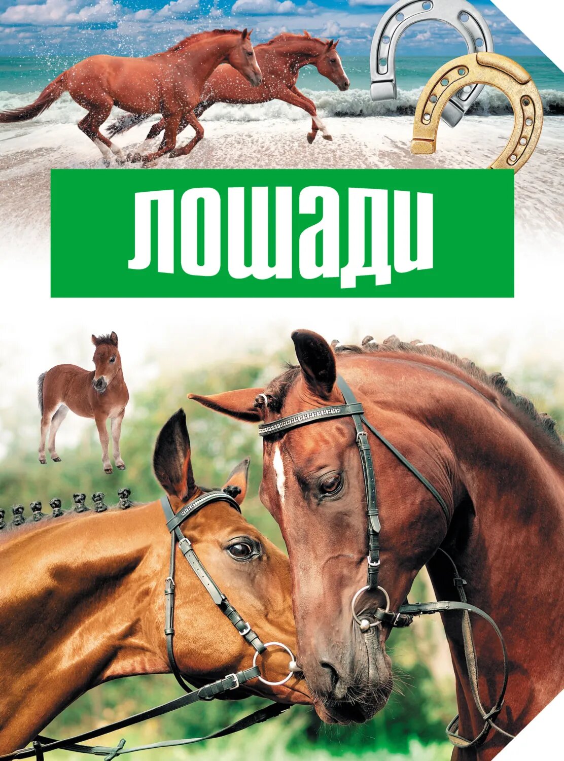 Лошади [Цифровая книга]