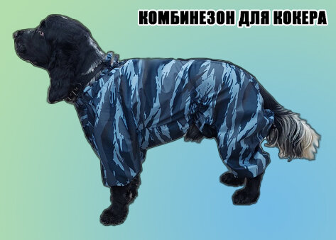 Комбинезон-дождевик для английского кокер-спаниеля кобеля, повышенной прочности, цвет синий камуфляж