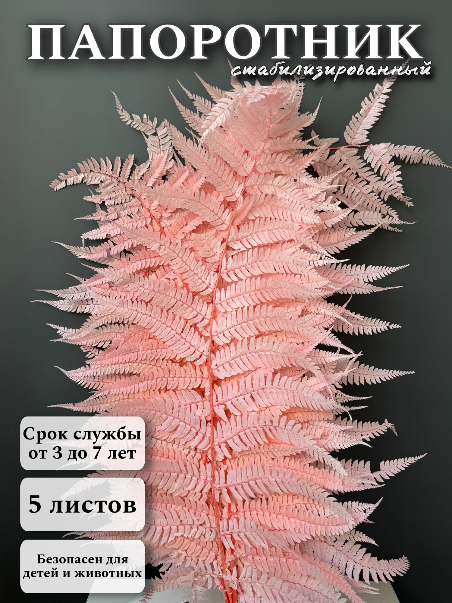 Стабилизированные цветы