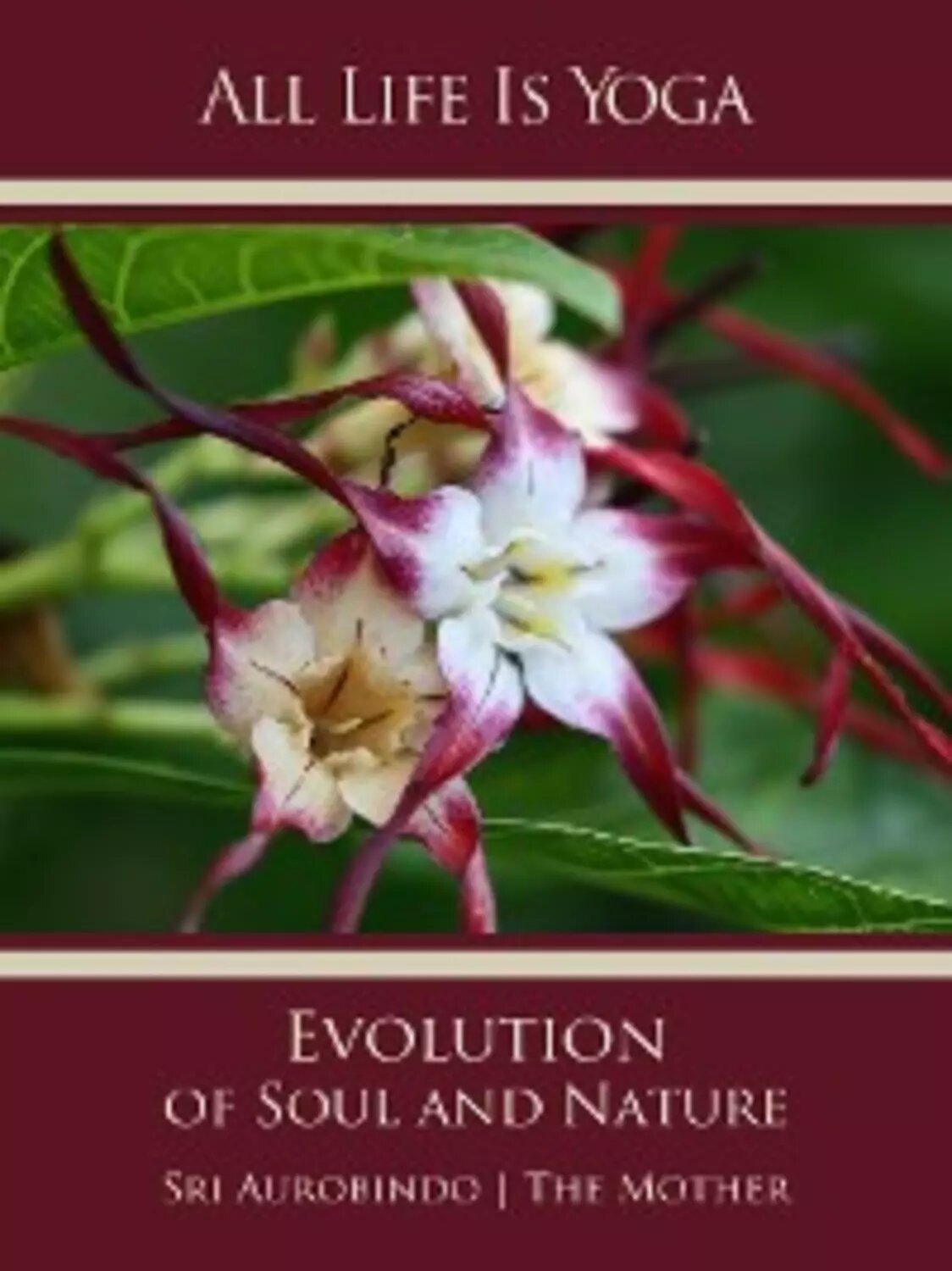 All Life Is Yoga: Evolution of Soul and Nature [Цифровая книга]