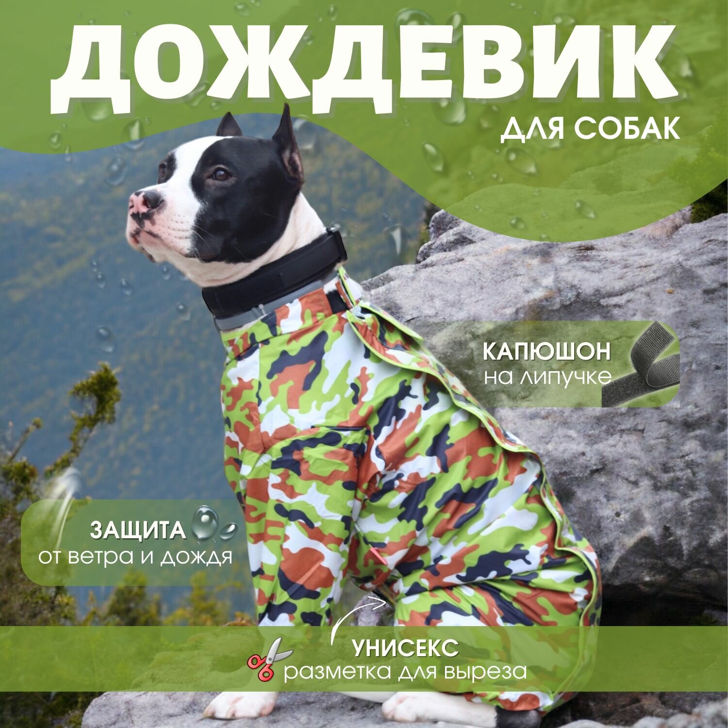 Одежда для животных