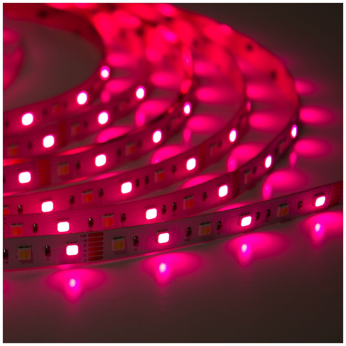 Светодиодная лента ICLED Class Premium 3838 72 led/m, RGB+CCT (RGB+white/ warm white), 12V, IP20, А41, напряжение питания 12В, 5 метров