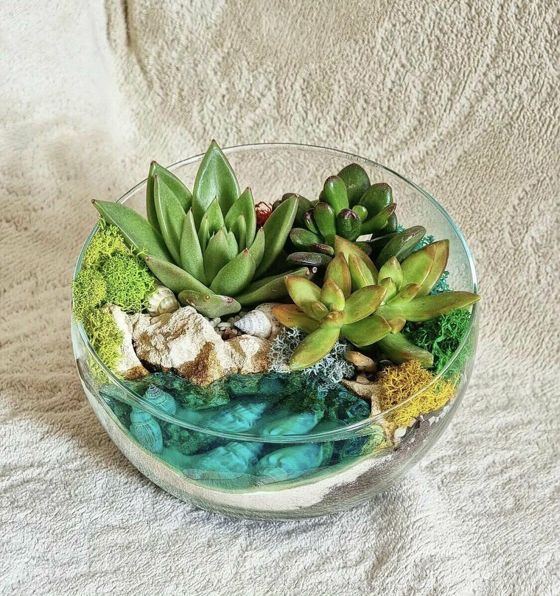 Флорариум с суккулентами и водой "Райский остров"/ Комнатное растение в аквариуме / Подарок