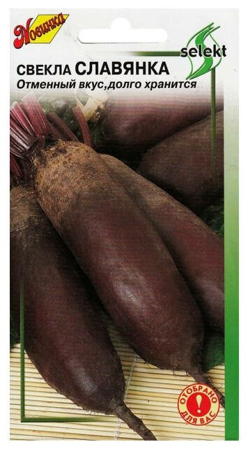 Семена свеклы Славянка - сорт выносливый для богатого урожая Дом Семян