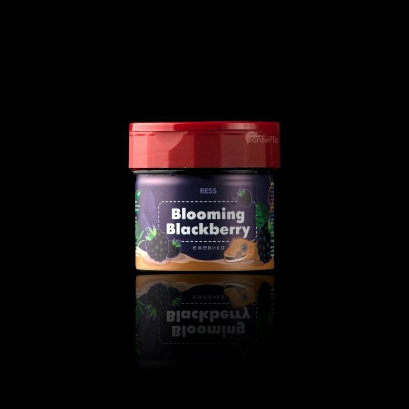 Корм для фруктоядных и всеядных рептилий RESS Blooming Blackberry