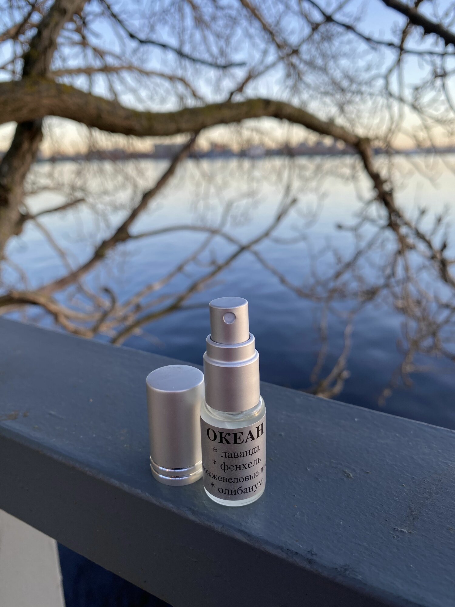 Аромат распыляемый океан, 5 мл, флакон-спрей