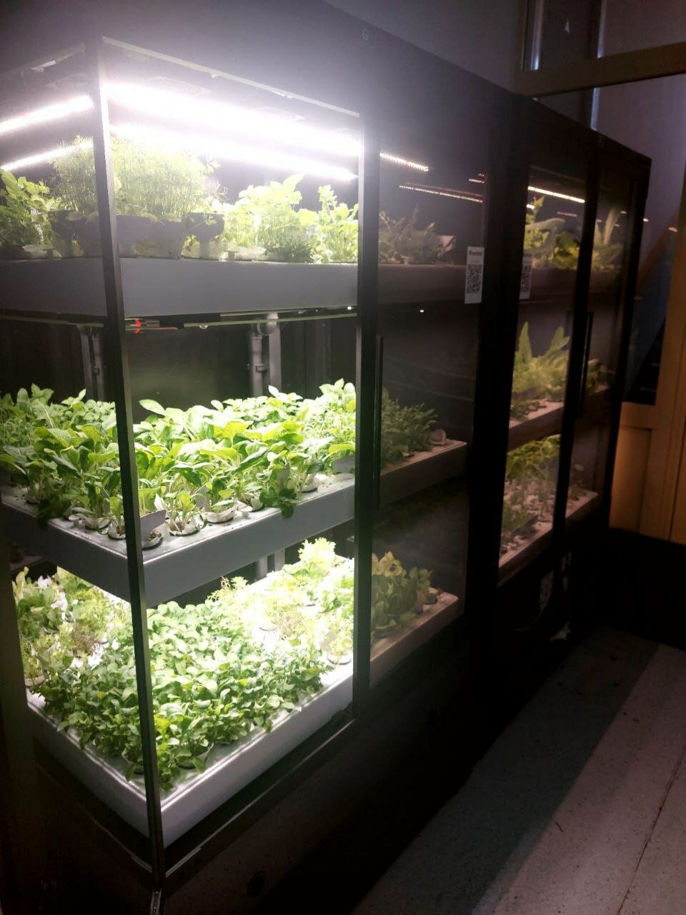 Модуль для выращивания зелени Greenbar- LUX3