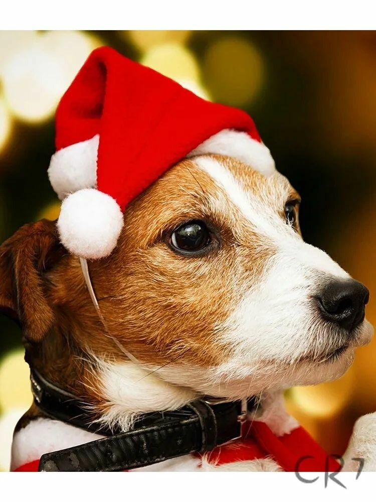 Новогодний колпак, шапка для собак и кошек