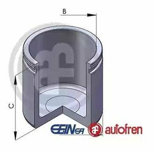 Поршень тормозного суппорта Seinsa/Autofren D02555