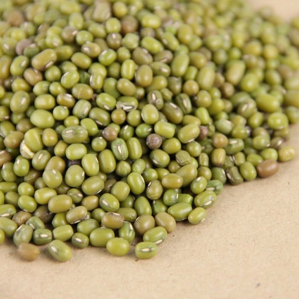 Маш (бобы Мунг) 1,5 кг для проращивания микрозелени - полезный суперфуд !