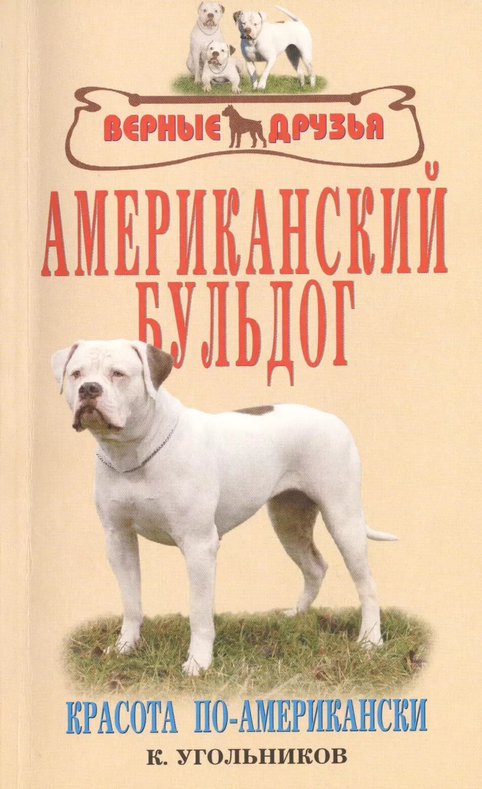 Американский бульдог. Красота по-американски.