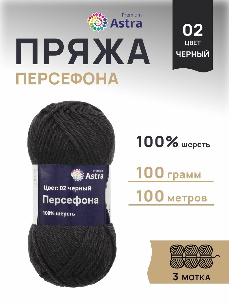 Пряжа для вязания Astra Premium 'Персефона' 100г, 100м (100% шерсть) (02 черный), 3 мотка
