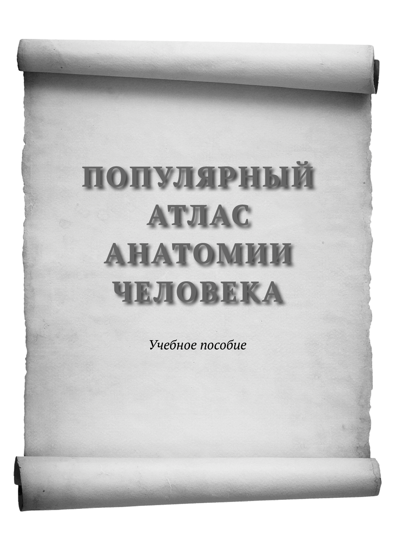 Тело человека — фото 1