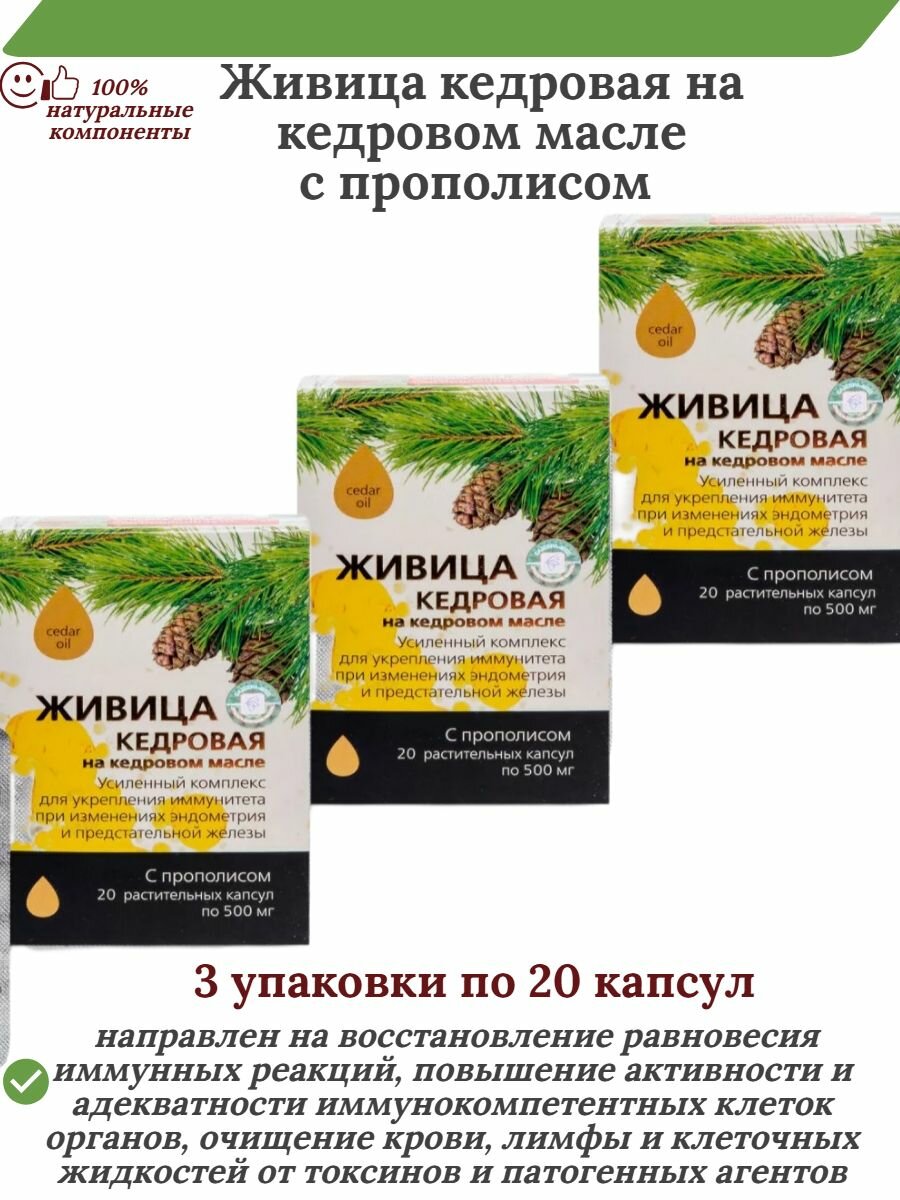 Живица кедровая на кедровом масле с прополисом для укрепления иммунитета, капсулы 20 шт. 3 упаковки
