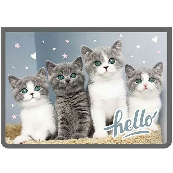 Папка для тетрадей "Милашки", А4, на молнии