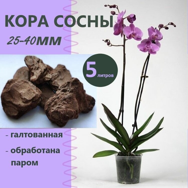 Кора галтованная 25-40мм - 5 литров / Для орхидей и ароидных
